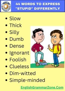 44 Fun Ways To Say Stupid: A Beginner's Guide To Expanding Your English ...