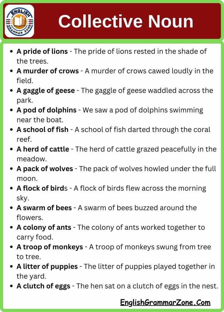 100 Collective Nouns With Sentence