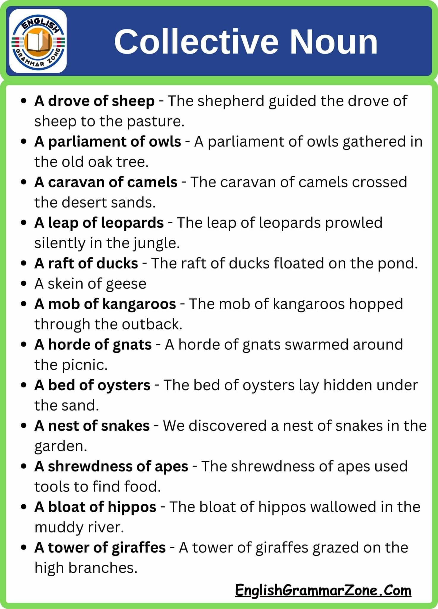 100 Collective Nouns With Sentence