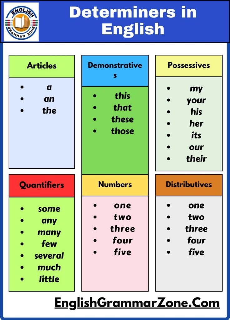 Types Of Determiners With Example Word