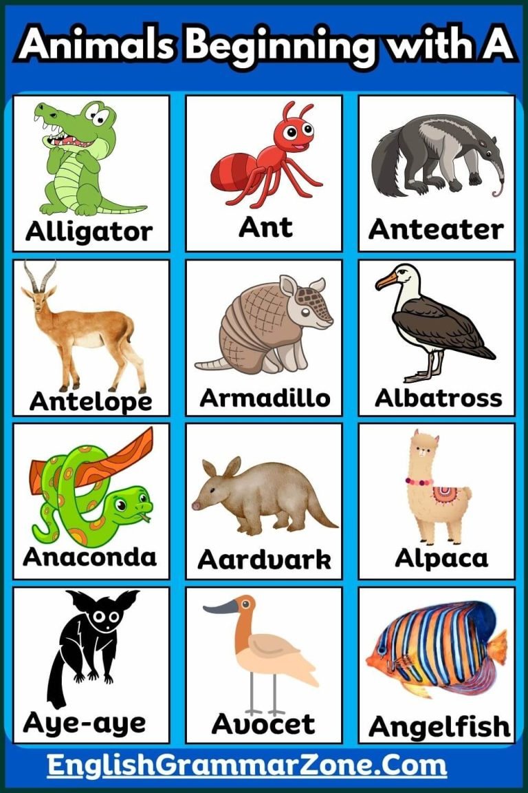 List Of Animals That Start With A