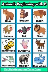 Animals That Start With B