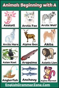 List Of Animals That Start With A