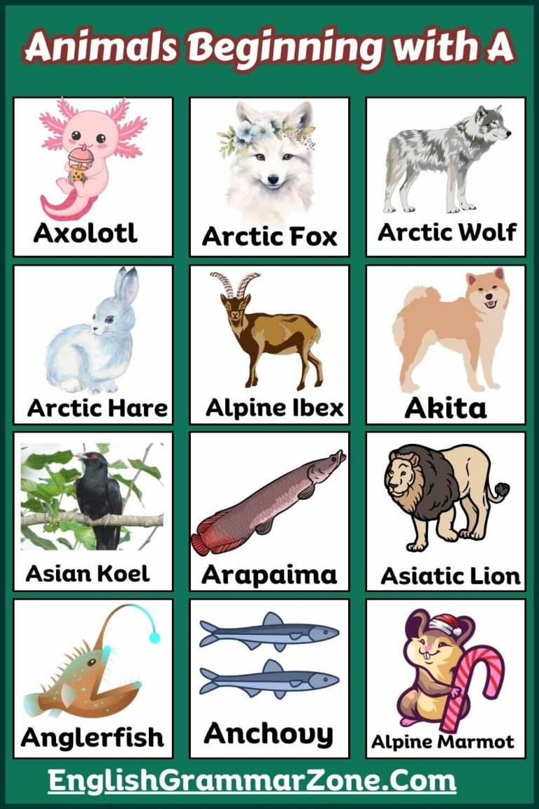 List Of Animals That Start With A
