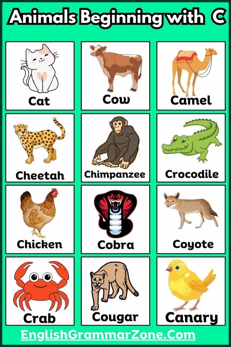 Cute Animals That Start With C