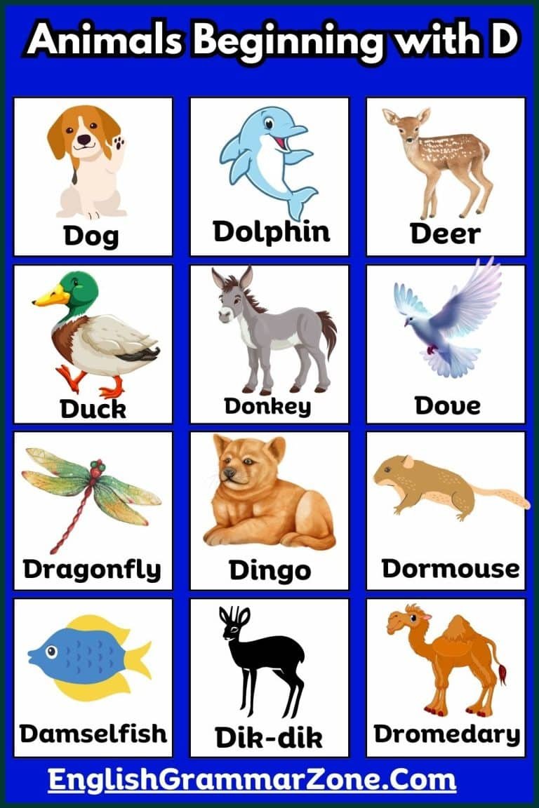 Animals That Start With Letter D For Kids