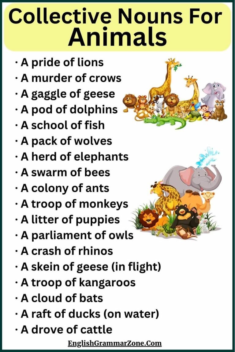 100 List Of Collective Nouns For Animals