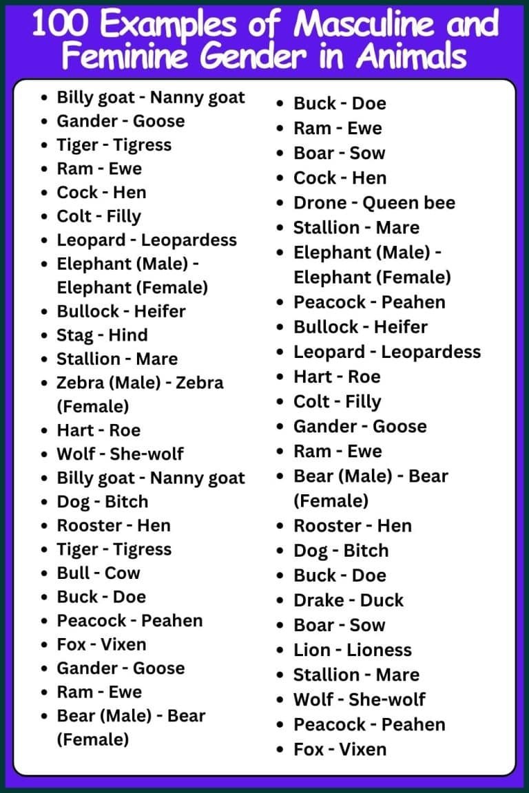 100 Examples Of Masculine And Feminine Gender