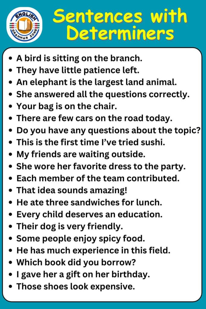 Determiners Definition, Types And Examples