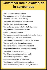 Common Noun Definition And Examples
