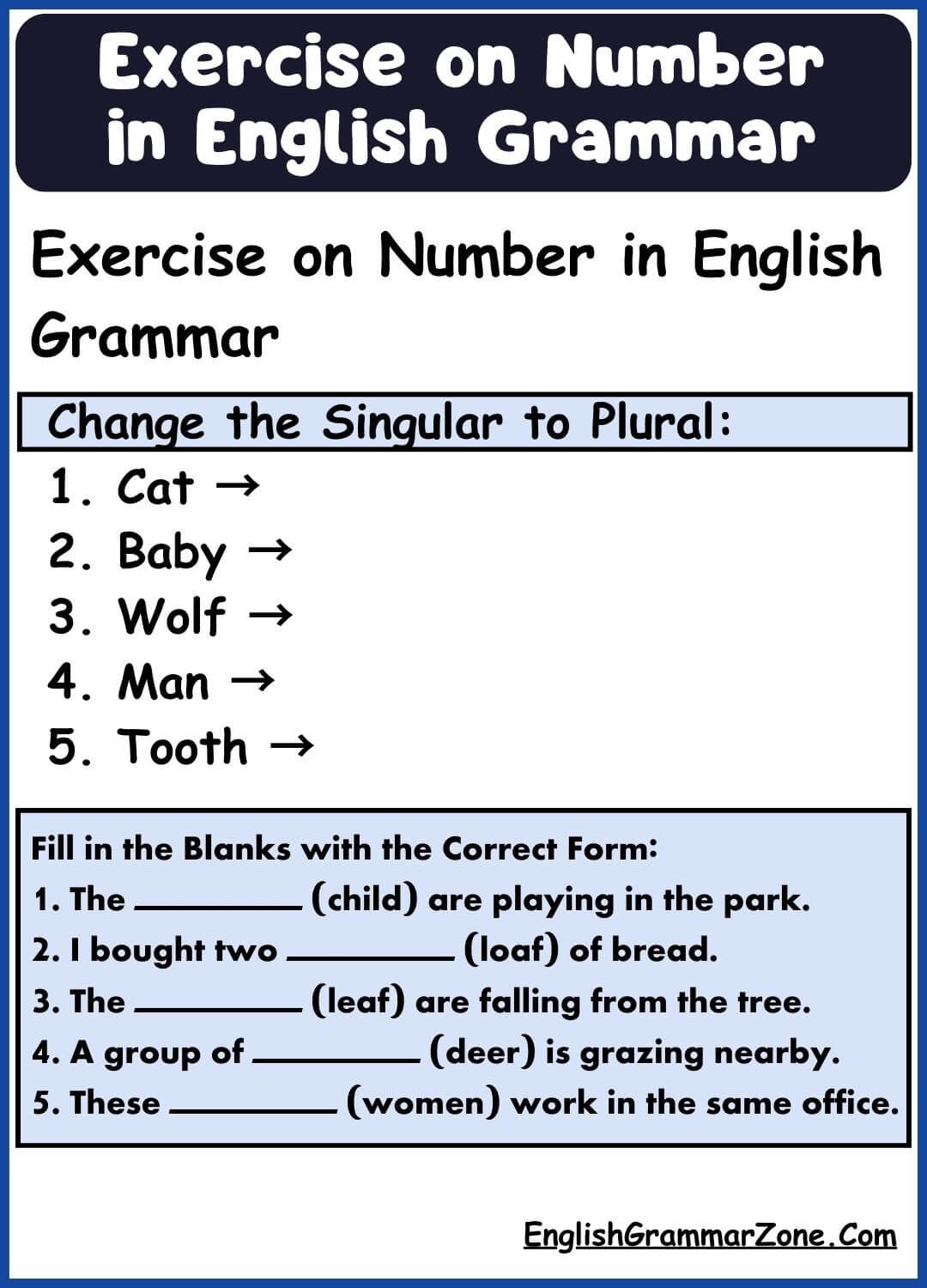 Number In English Grammar: Definition, Types, Rules, And Examples