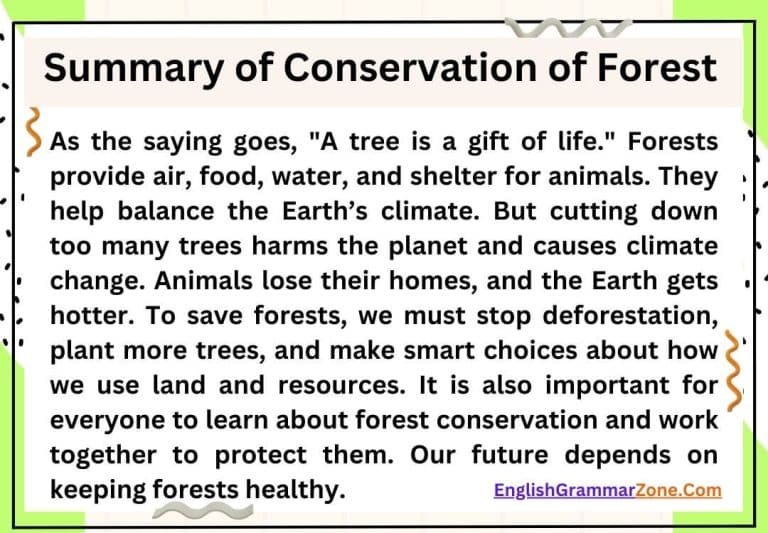 Write An Essay On Conservation Of Forest (100-300 Words)