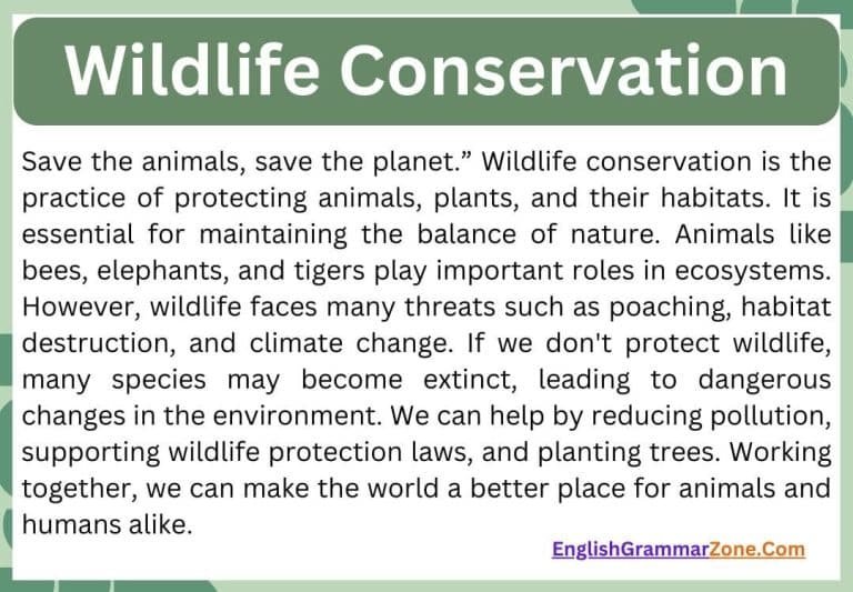 10 Line Essay On Wildlife Conservation In English