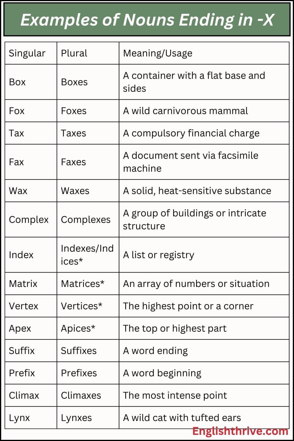 Singular & Plural Nouns Ending In CH SH X Z S