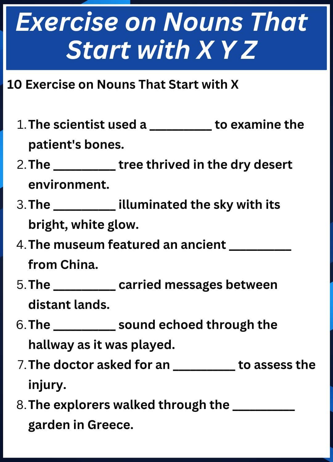 Nouns That Start With X Y Z Examples And Exercises
