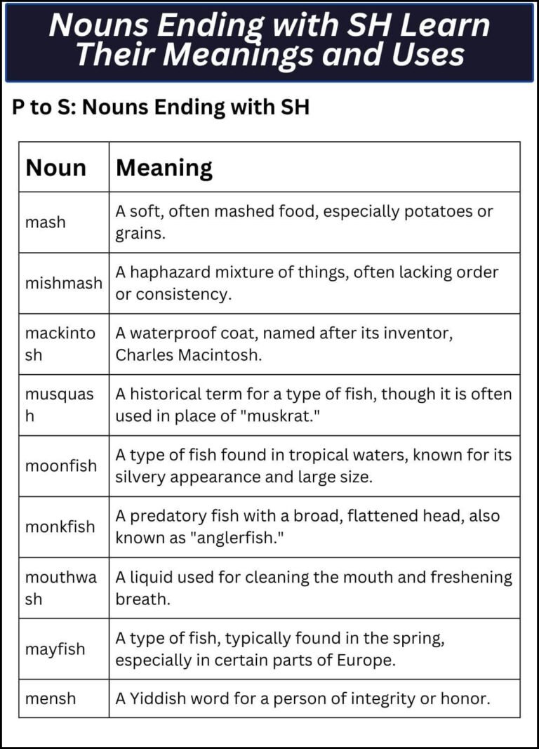 Nouns Ending With SH Learn Their Meanings And Uses